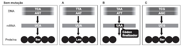 Questões de Vestibular: Biologia, Química e Ciências da Natureza ...