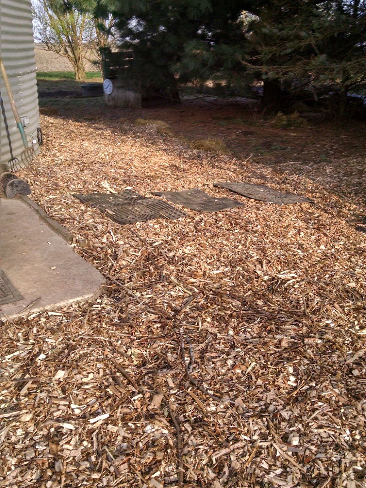 The Poor Farm: The Best Mulch is Free Mulch