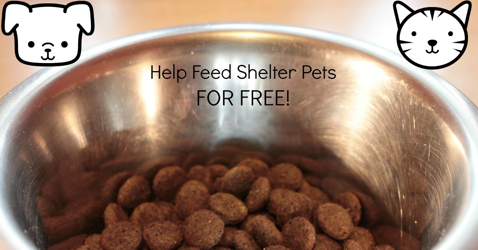 Random Animals: Feed Animals for Free!
