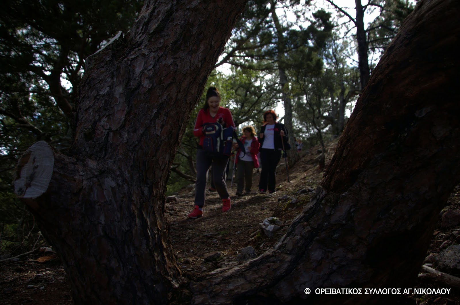 EXPLORE MOUNTAINS: ΠΕΖΟΠΟΡΙΑ :ΜΕΤΑΞΟΧΩΡΙ-ΠΗΓΗ ΣΚΑΦΙΔΙΑ-ΚΑΛΥΒΕΣ-ΖΩΝΑΡΙ ...