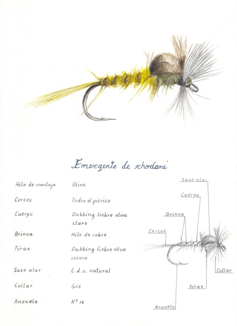 Artificial flies for fishing drawings and paintings: EPHEMEROPTERA