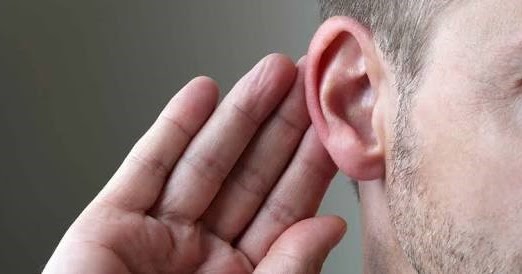 Entiende Neurociencias : AUDICIÓN