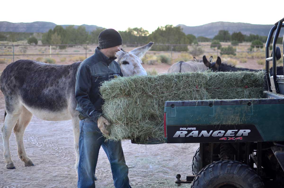 The 7MSN Ranch: Ranch hands in training