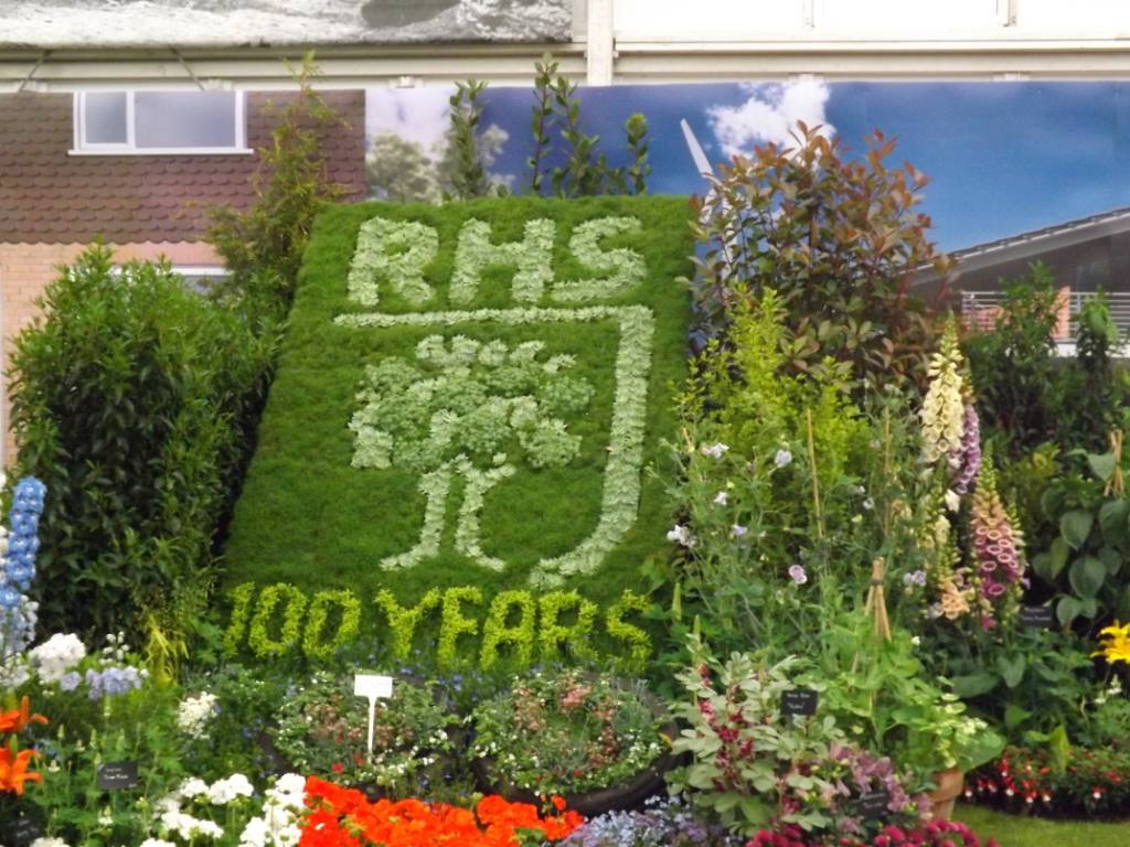 my day at Chelsea Flower Show 2013