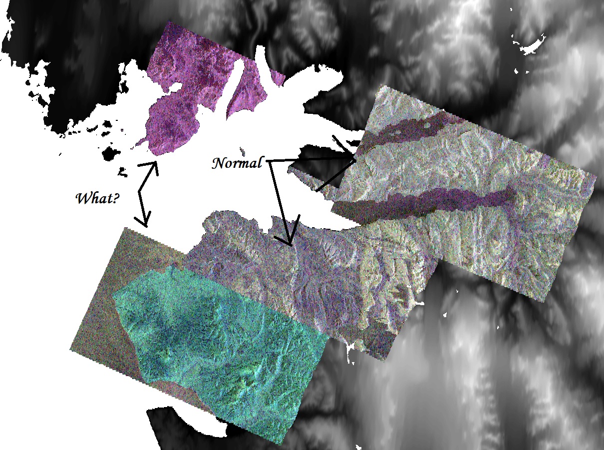 Arctic Resolution: Pauli Decomposition