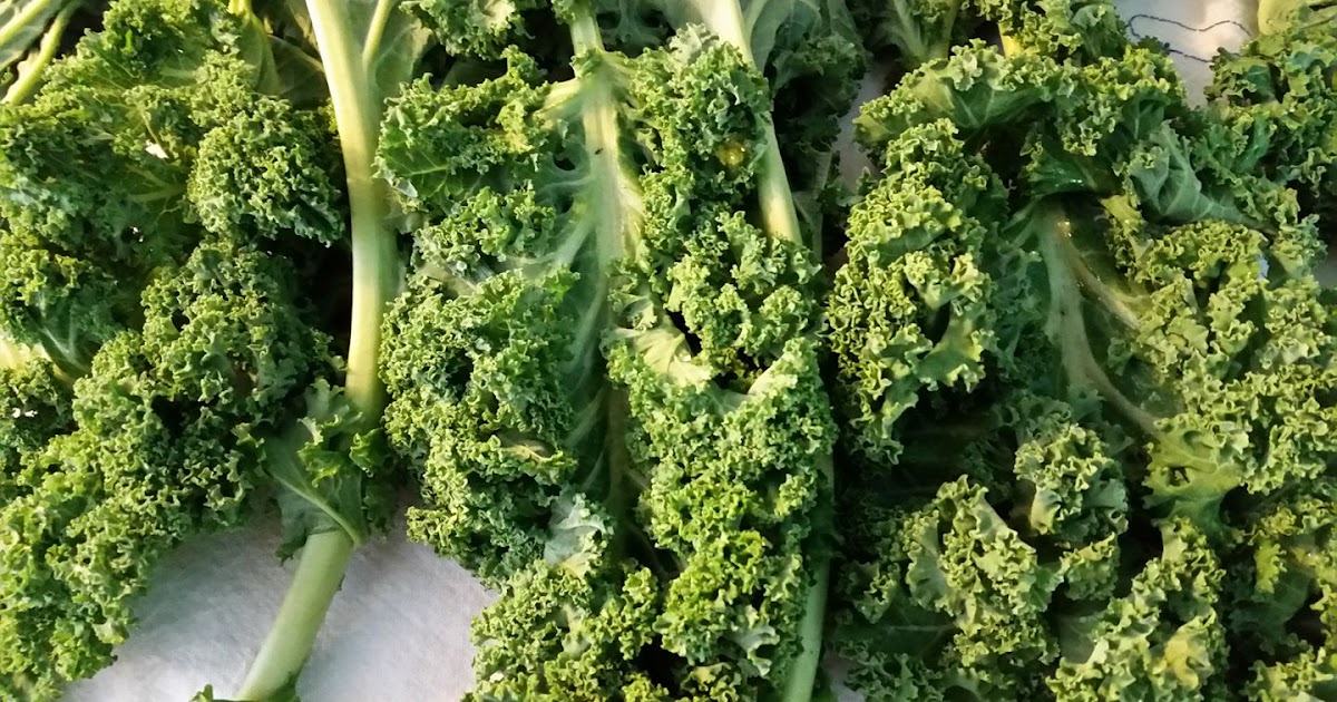 [Information] All About KALE