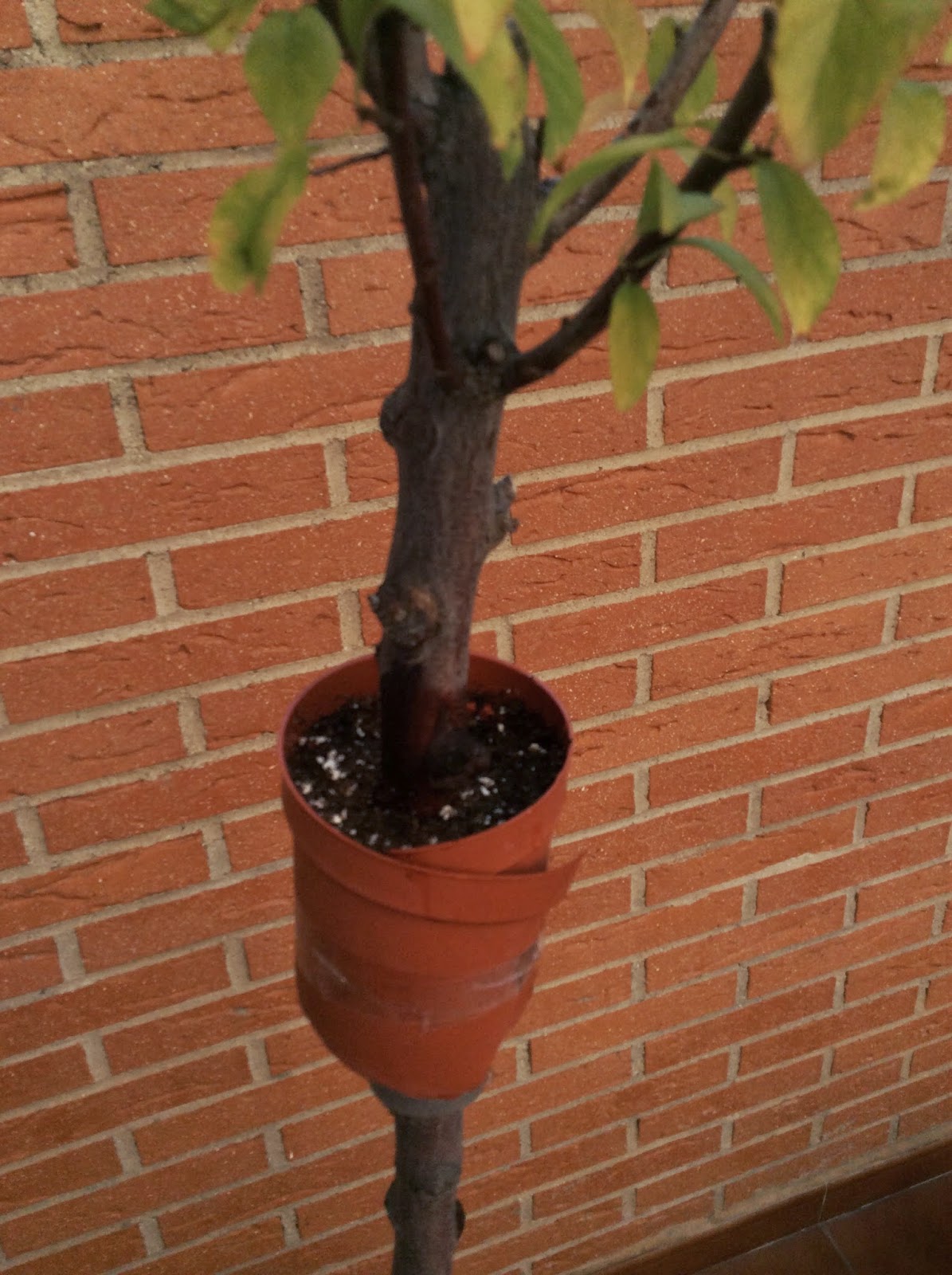 La Mar de VeRde: ACODO AÉREO