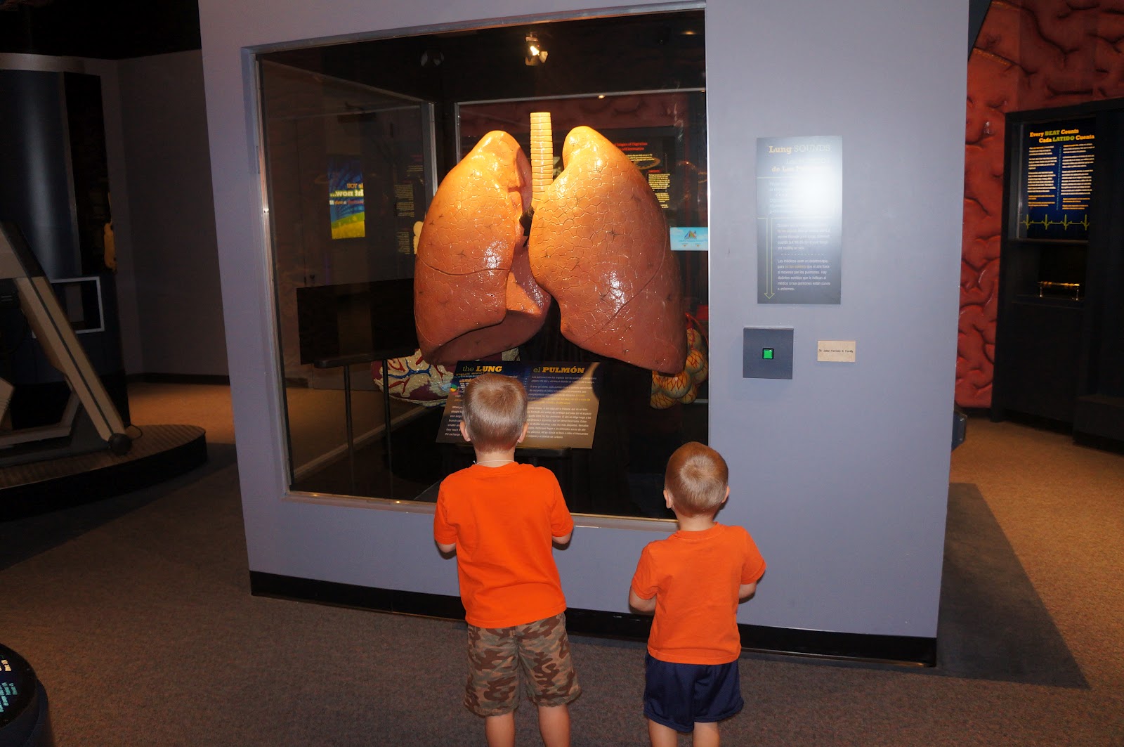 These Boys of Mine: The Health Museum