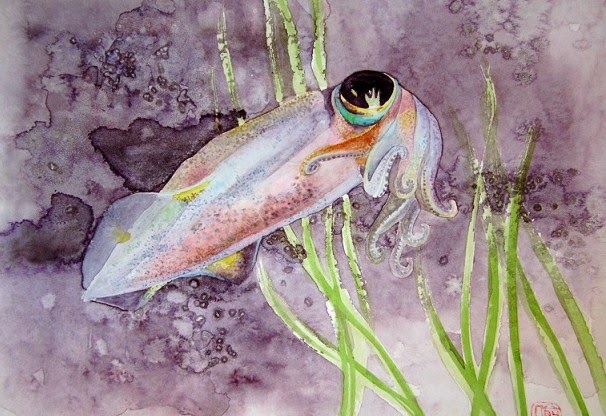 Crisálida: chipirón