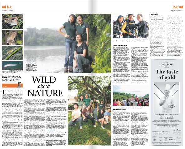wild shores of singapore: What nature groups are there in Singapore?