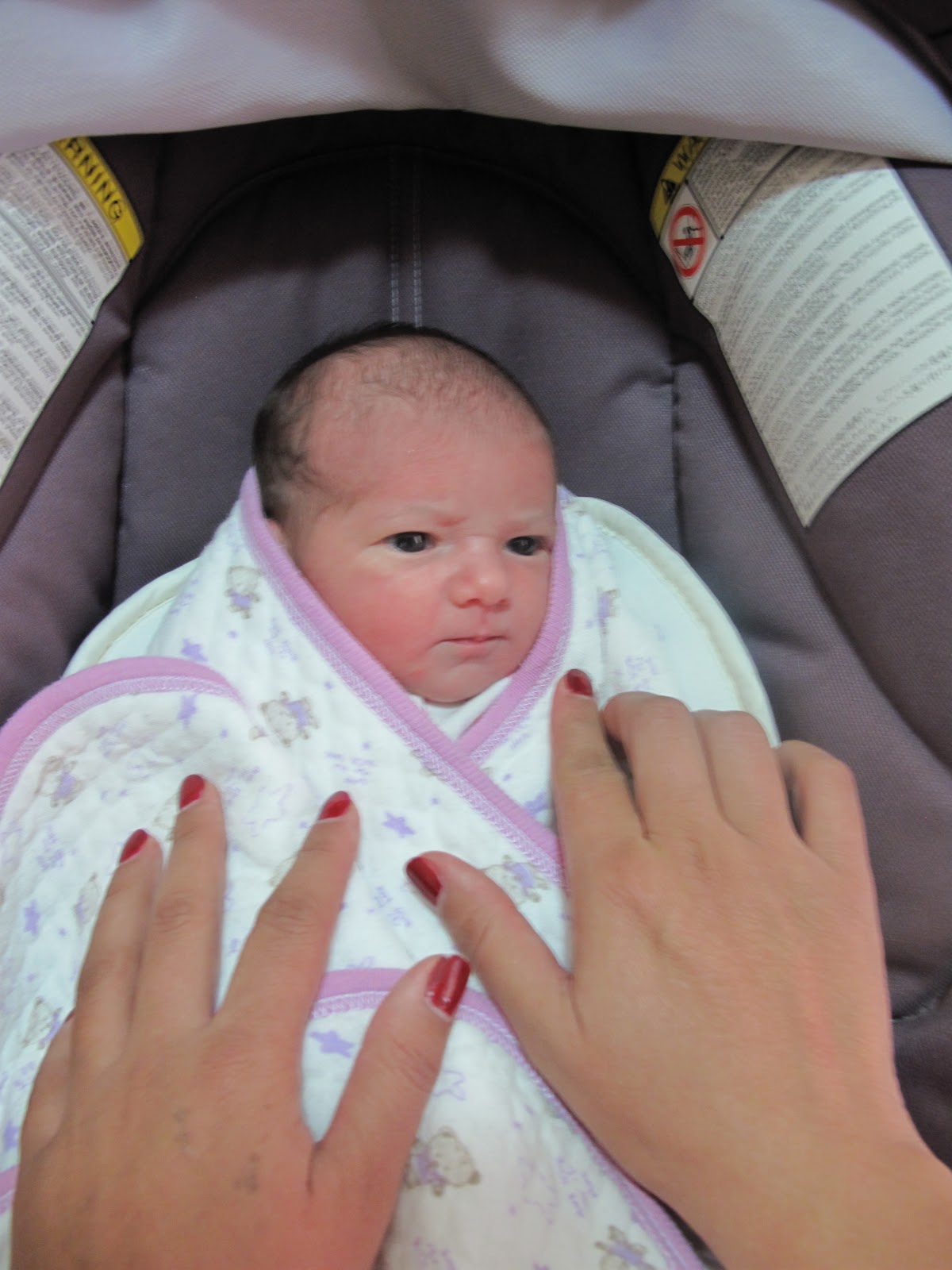 Ben , Sen , O: Nasyonel ceyrofik - bebekler bölüm 1