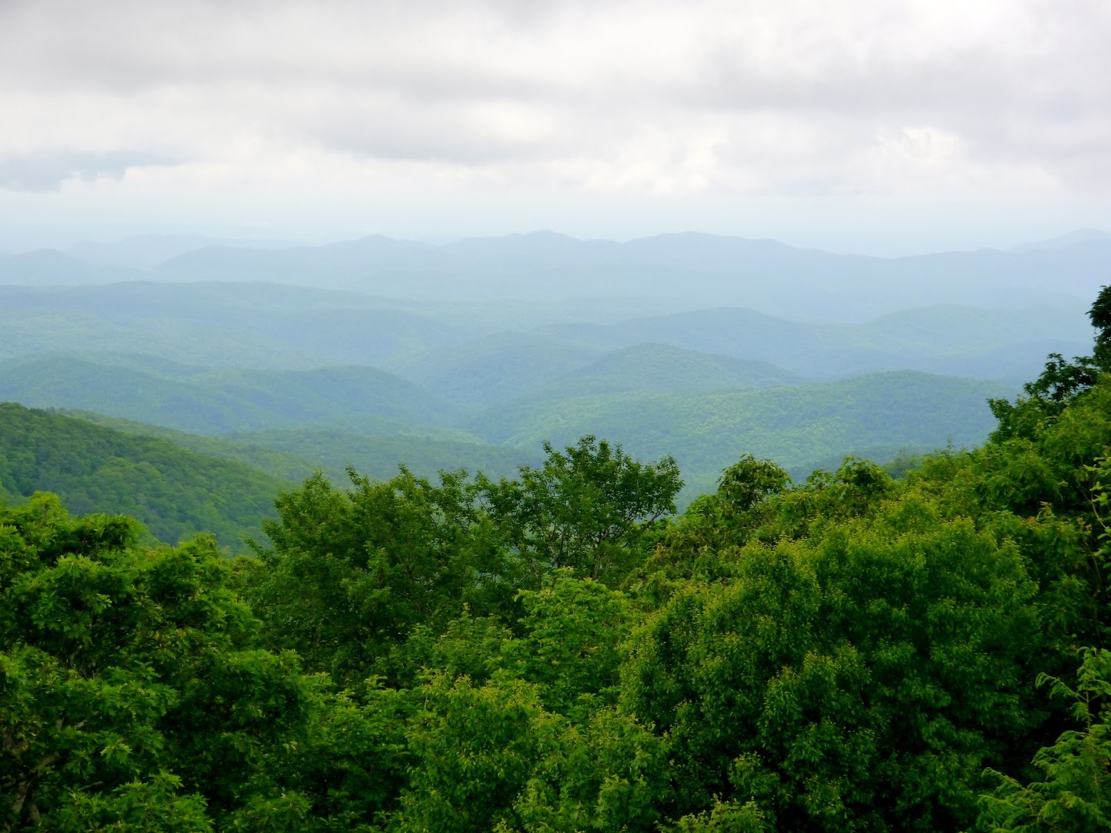 American Travel Journal: Stack Rock Creek to Linville Falls Spur Road ...