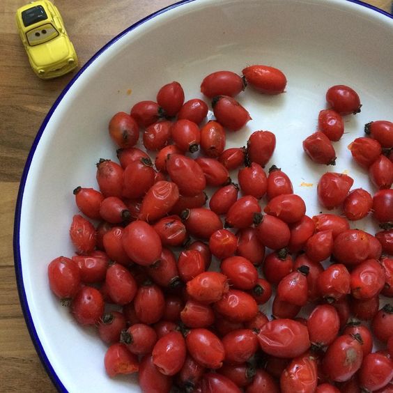 Moon to Moon: Wild Rosehip Syrup Recipe....