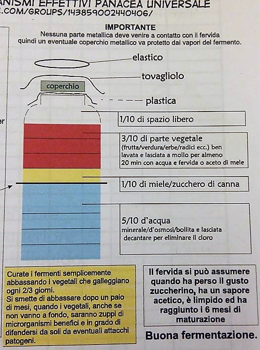 Preparazione dei FERVIDA (fermentati tailandesi)