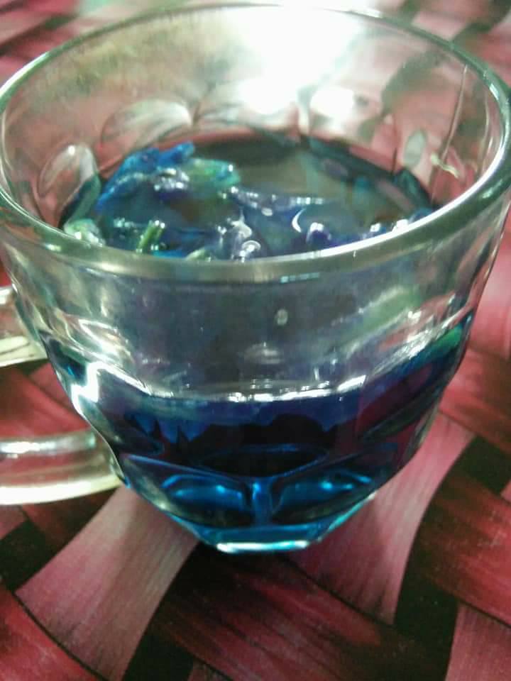 Khasiat Sebenar Air Rendaman Bunga Telang Jika Di Amalkan