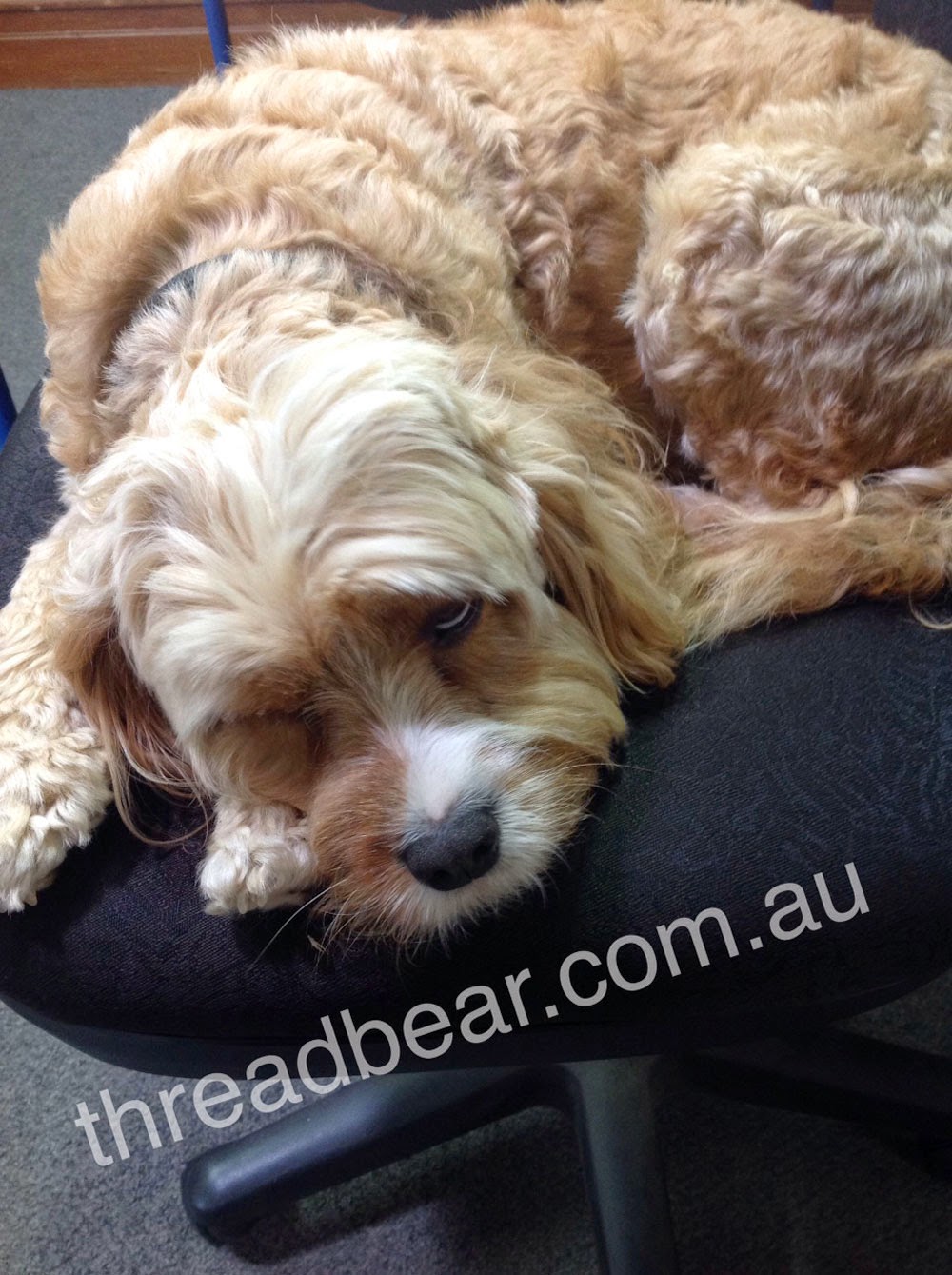 Threadbear: Look at these blocks...