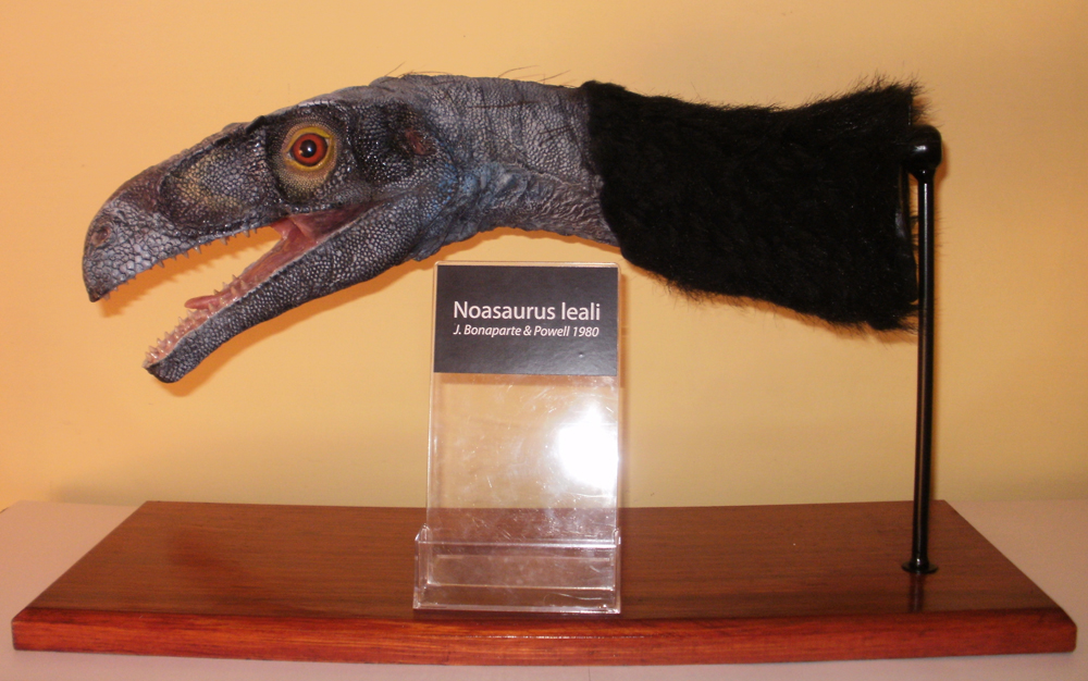 GONDWANA EXOTICA: Noasaurus leali