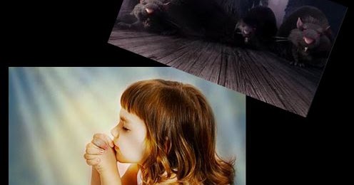 Rising From The Ashes: I Learned My Worth Praying For Rats To Leave