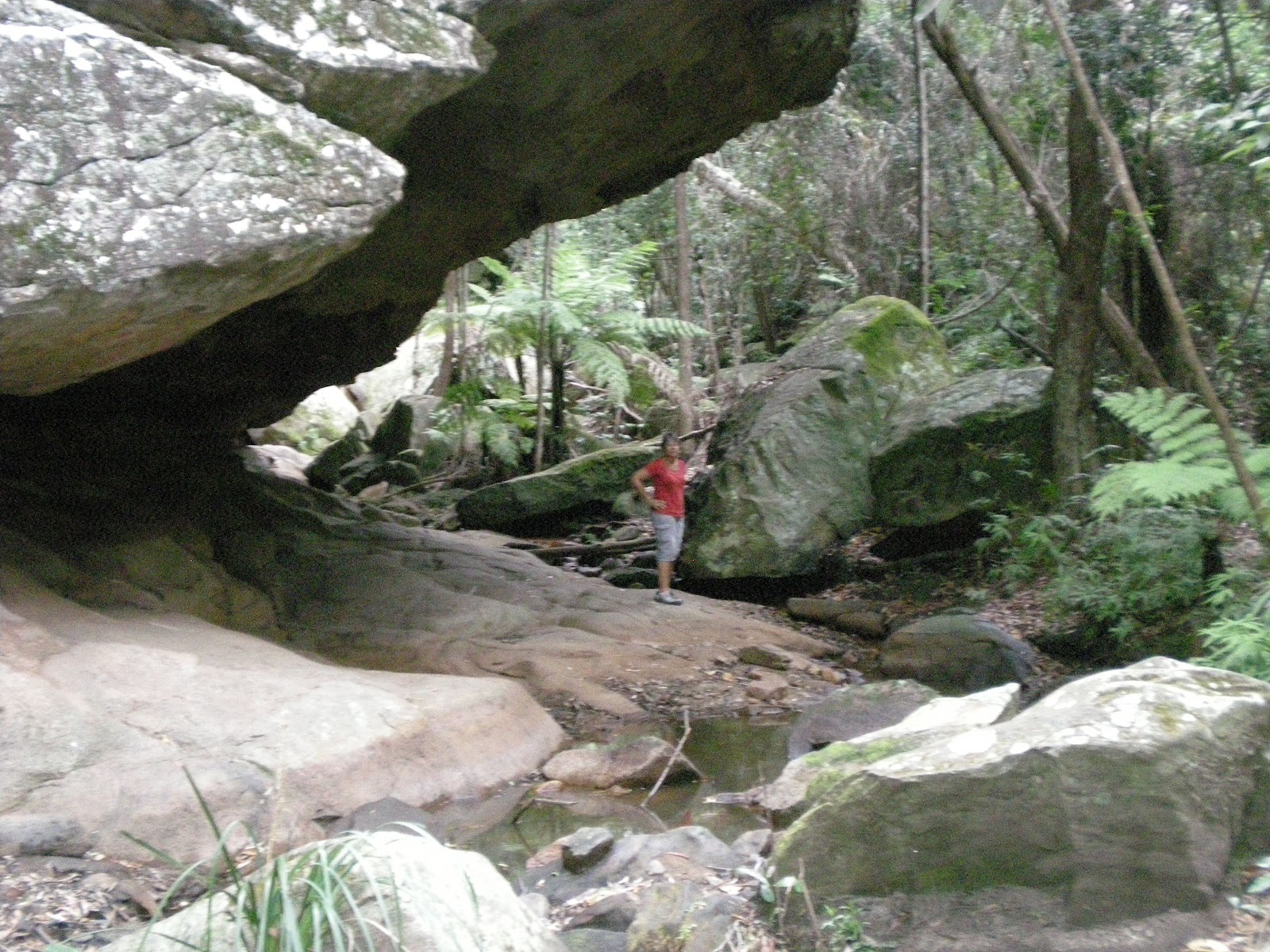 Ian and sue's Aussie Adventures