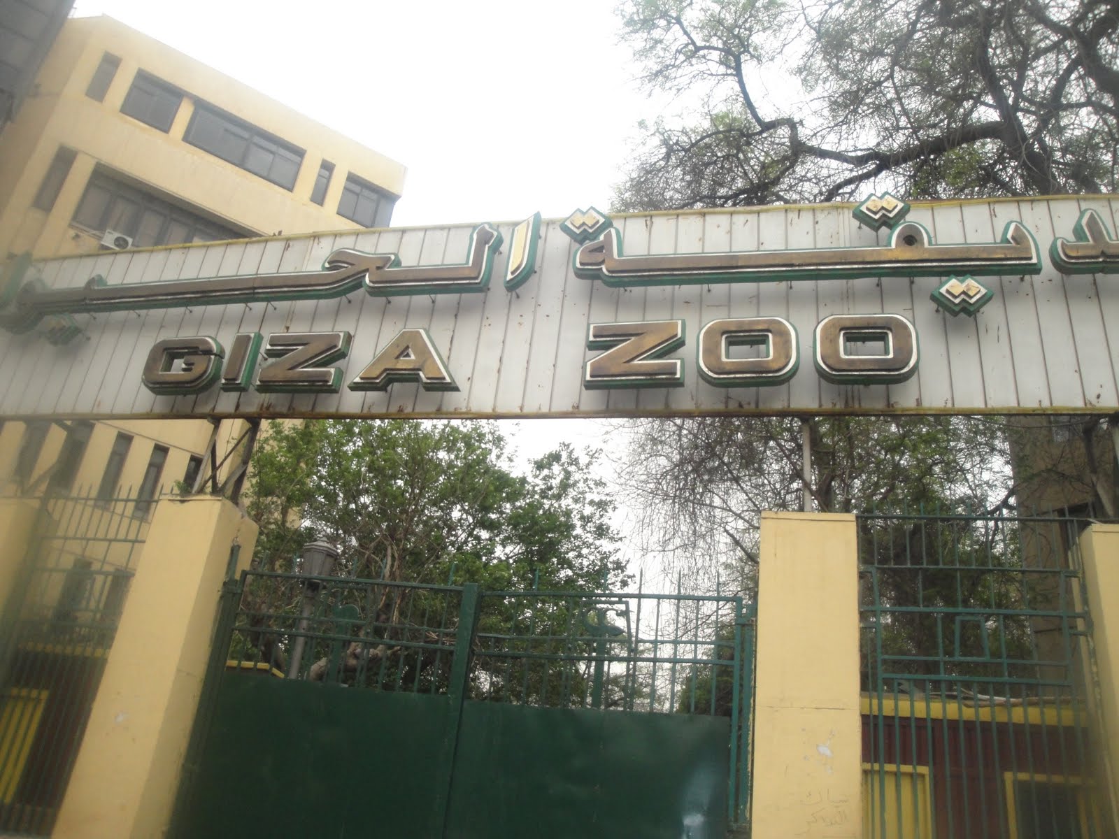 Crazy Cairo life: Giza Zoo a pile of poo!!