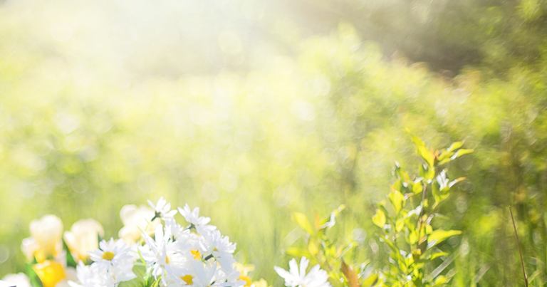 5 Ways to Relax Over Spring Break | Classroom Tested Resources