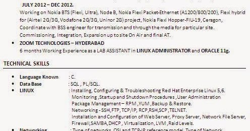 example cv personal statement