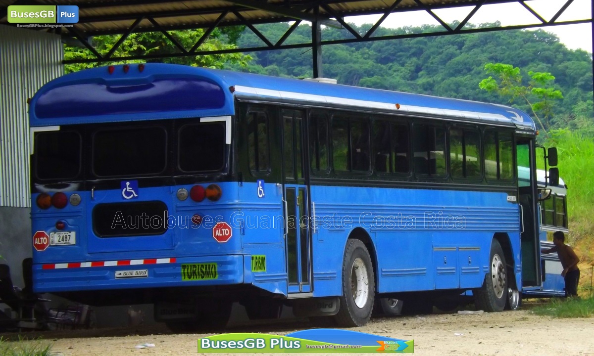 Autobuses Guanacaste: BusesGB Plus: Blue Bird GB