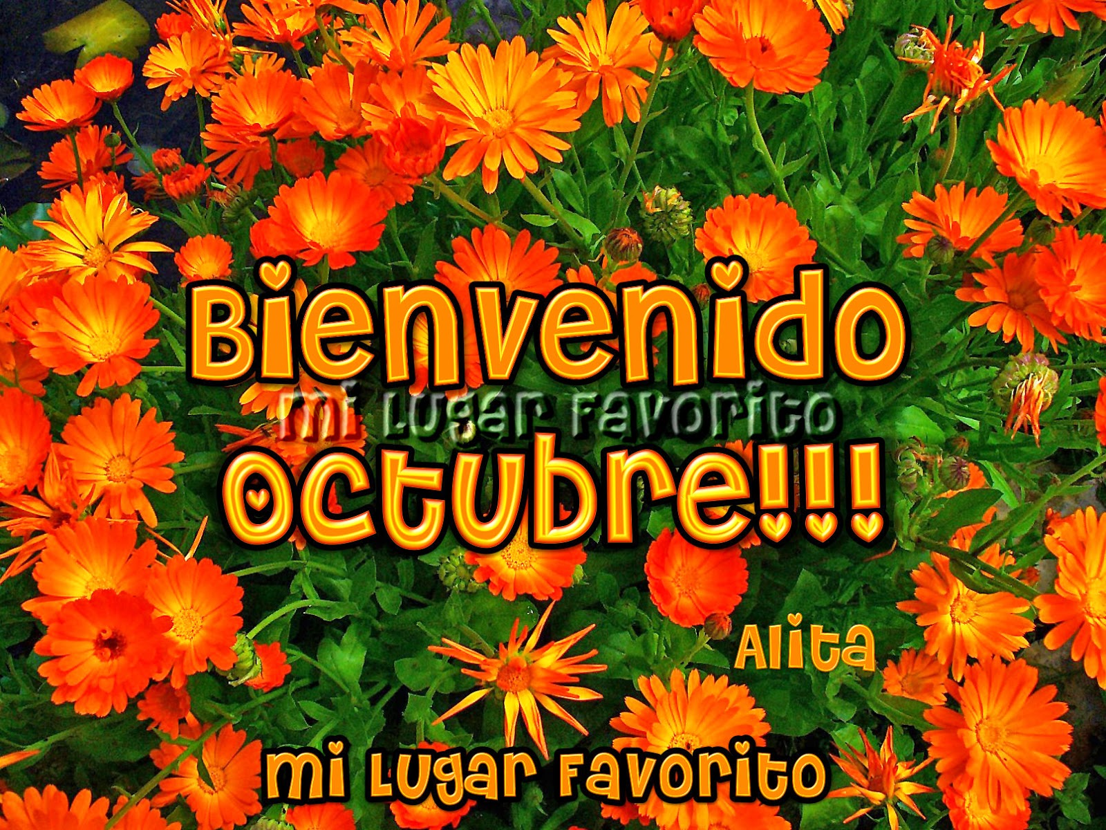 Mi Lugar Favorito: Bienvenido Octubre!!!