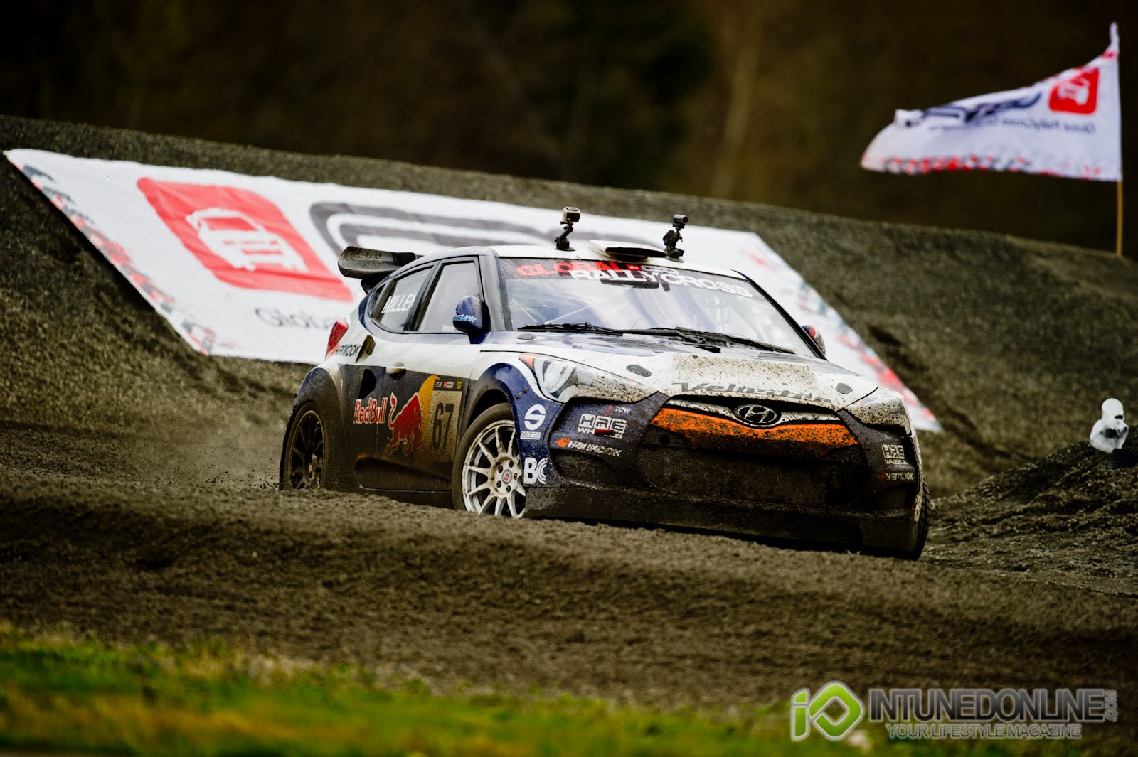 Alex Wong Photography