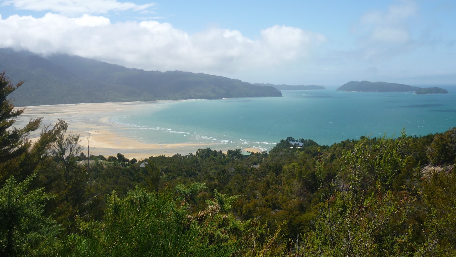 New-Zealand Adventure: Tondre des lamas à Cissy bay