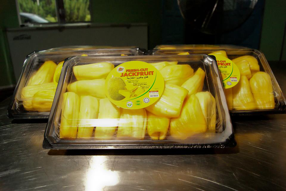 APAG AGRI PRODUCE: JACKFRUIT HONEY J33 VARIETY