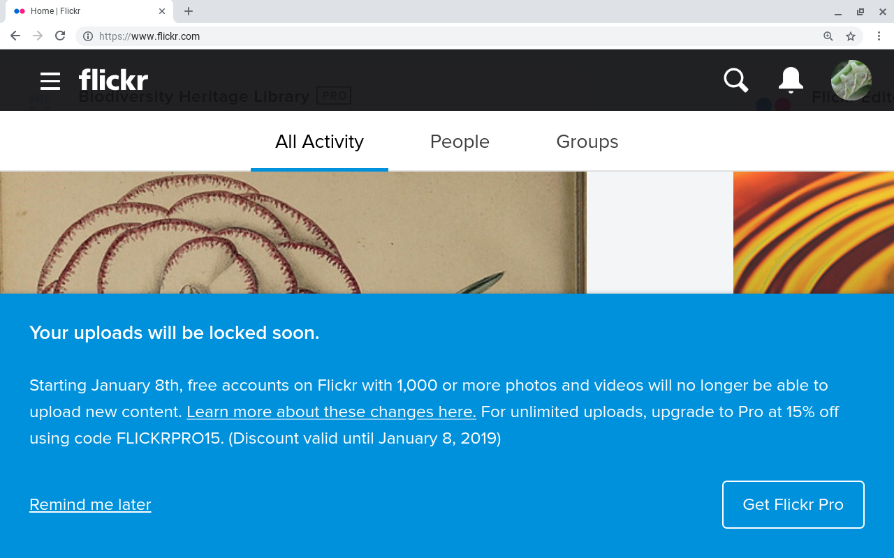 Free Flickr accounts with 1000 or more photos will be locked January 8 ...