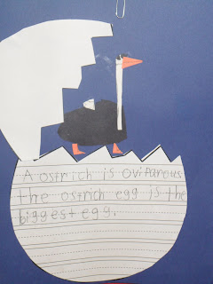 .: Oviparous Animal Week