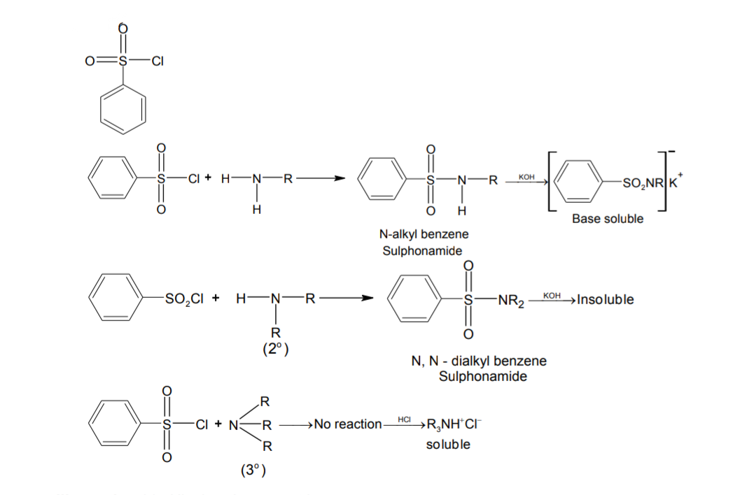 Welcome to Chem Zipper.com......: What is Hinsberg's reagent and where ...