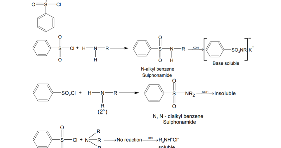 Welcome to Chem Zipper.com......: What is Hinsberg's reagent and where ...