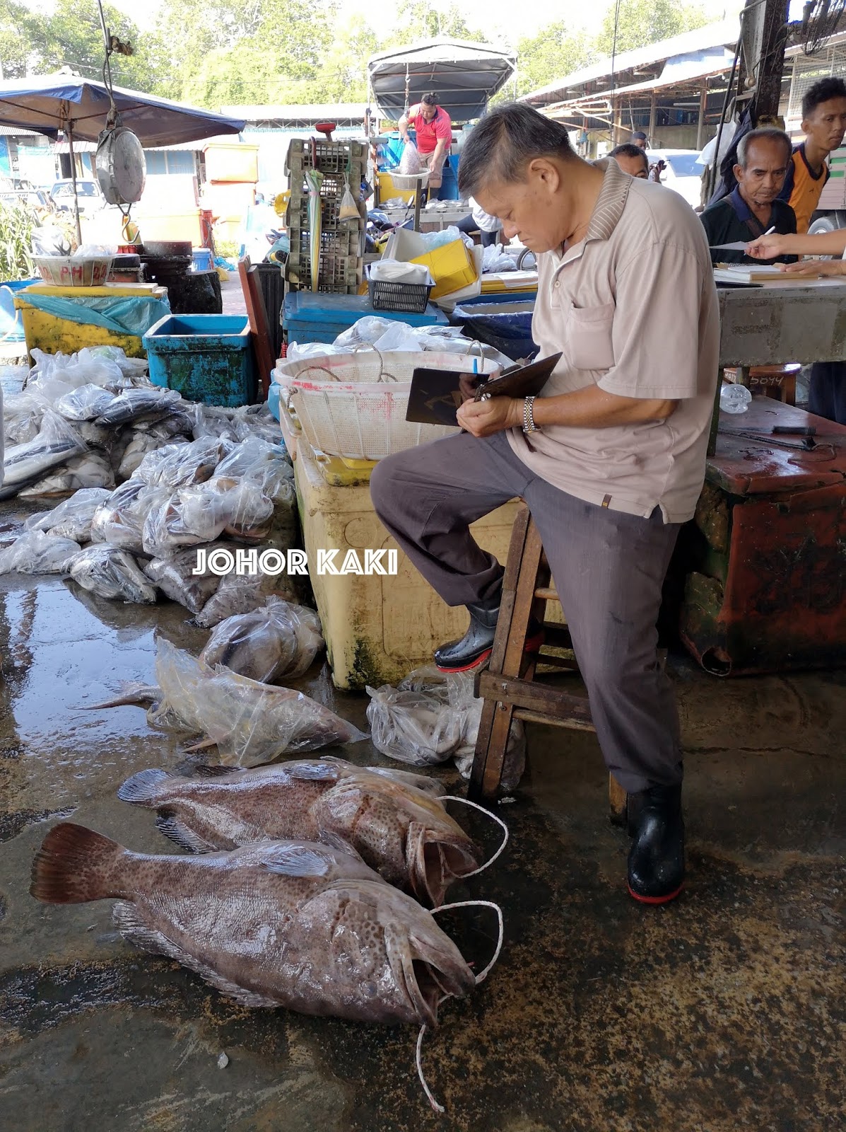 Pontian Wholesale Fish Market Update 2018 |Tony Johor Kaki Travels for ...