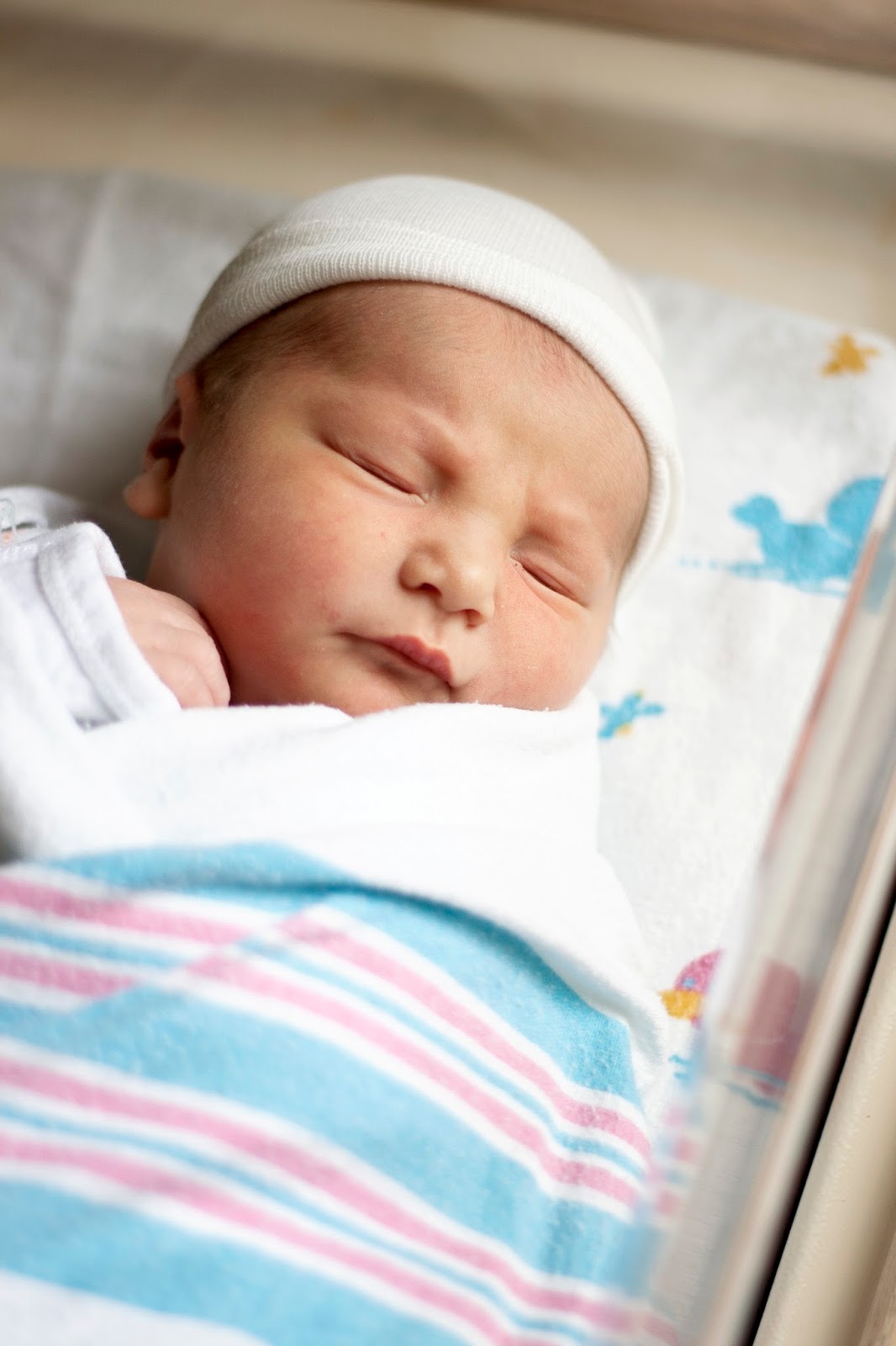 Jen Larsen Photography: Welcome Baby D