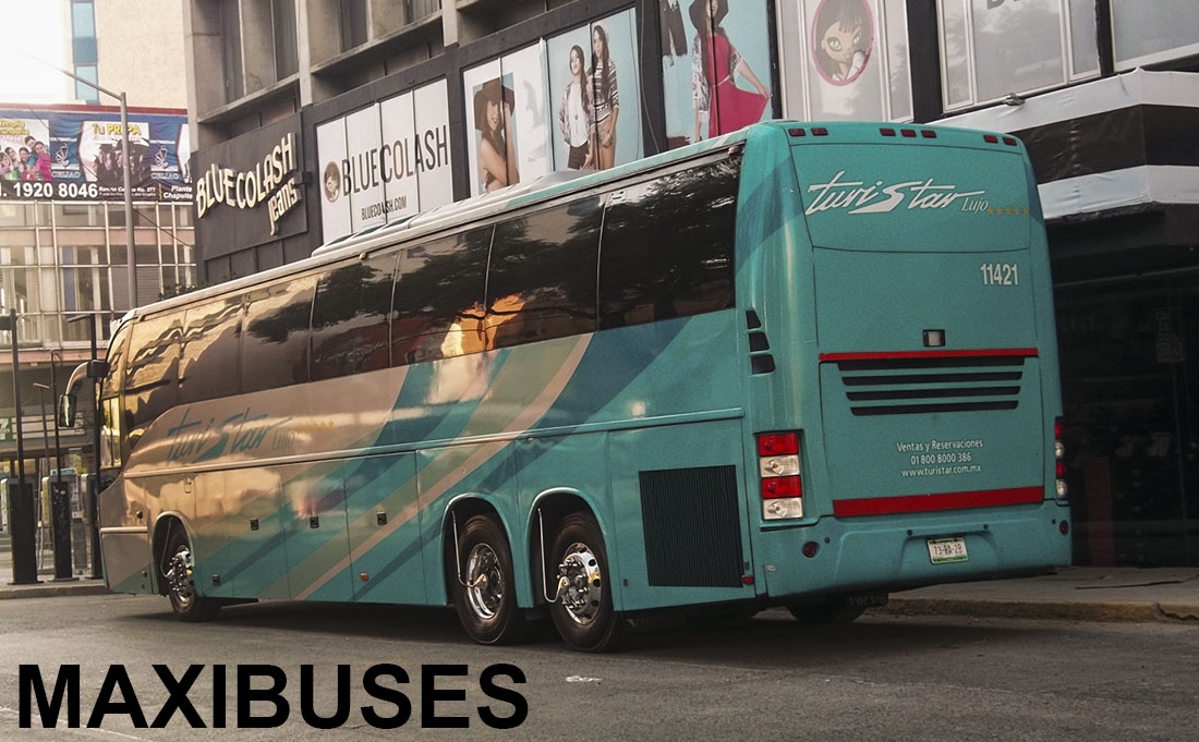 MAXIBUSES: TURISTAR LUJO