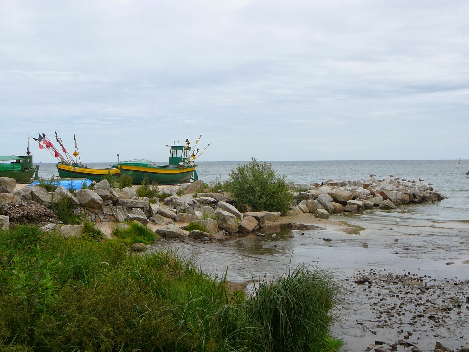 W środku życia: Serce anioła