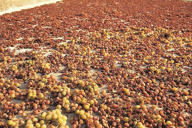 Vino Travels ~ An Italian Wine Blog: Zibibbo sweetens up the island of ...