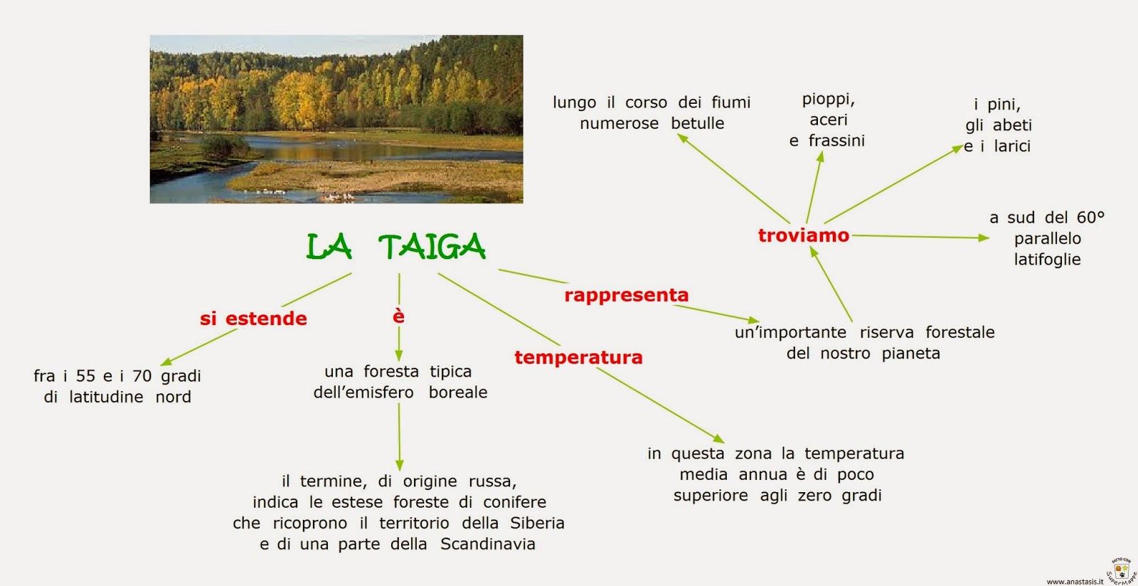 Paradiso delle mappe: Mare Artico: La Taiga