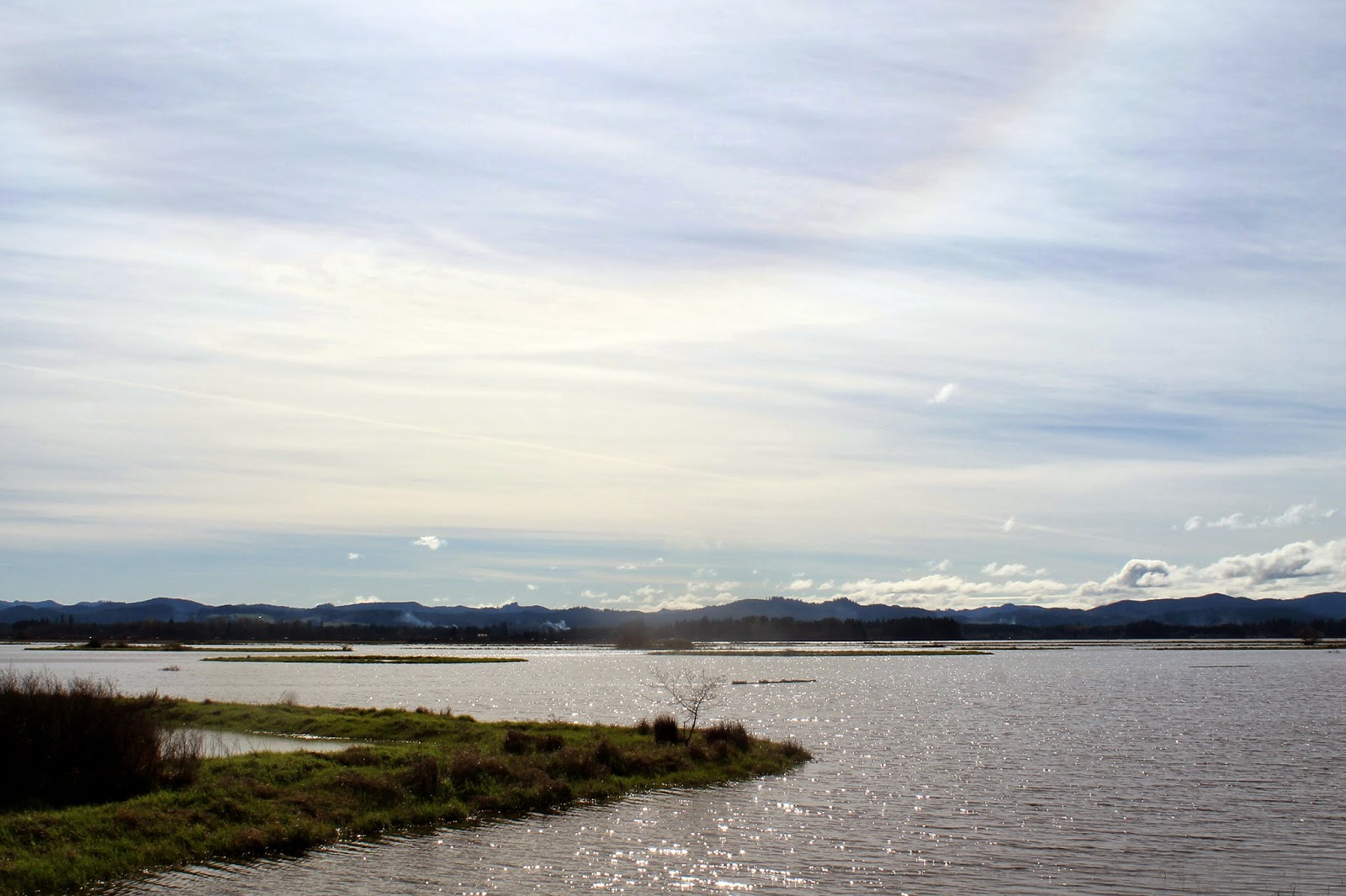 shellmo: Fern Ridge Reservoir