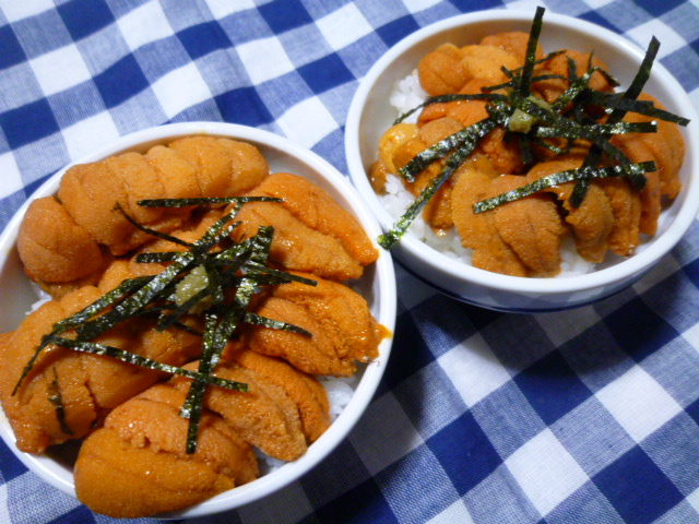 What Wonderful Travels in Hokkaido, JAPAN!: Sea Urchin Rice Bowls@Rausu ...