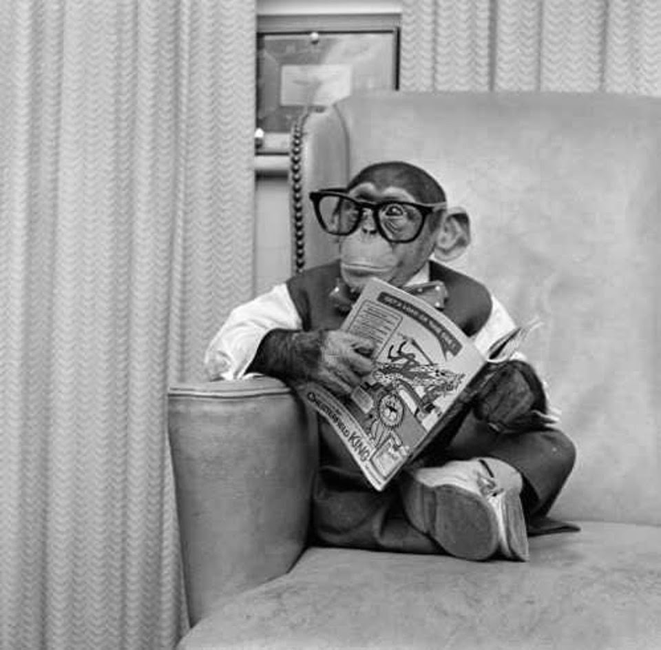 Rough Edges: Favorite Reading Spots