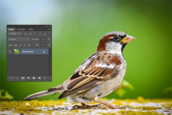 PhotoEffect: How To Create A Reflection In Photoshop