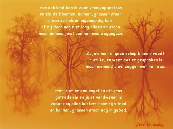 NATUUR mijn PASSIE - NATURE and POETRY: Halmen, grassen, staan nog in ...