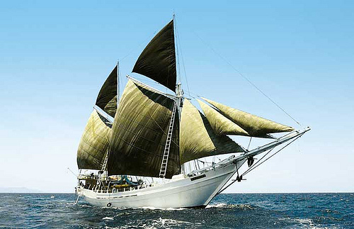 Make Your Soundrenaline: 6 Ships Screen largest and most magnificent in ...