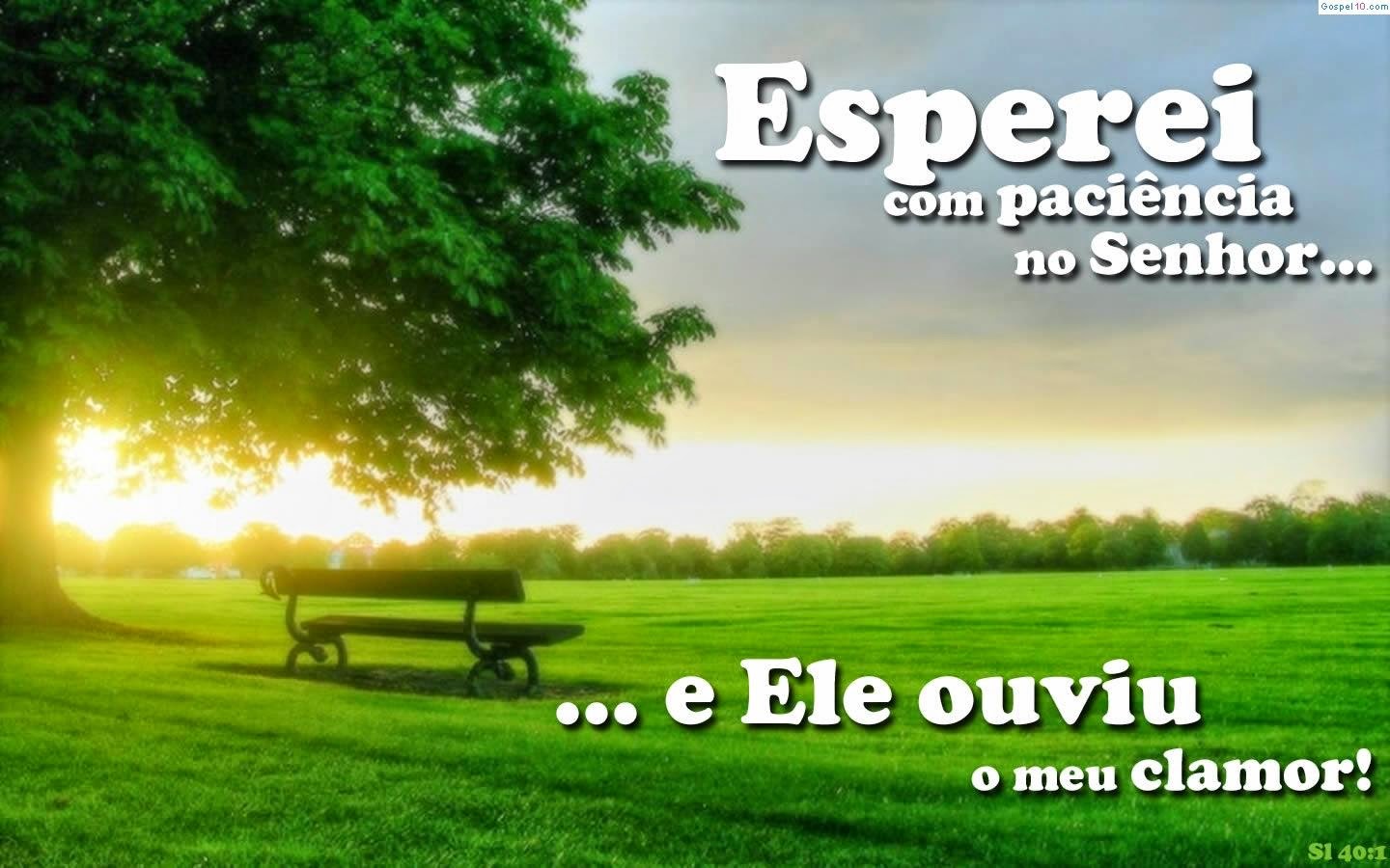 mensagem biblica: salmo 40