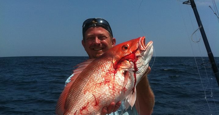 Gulf Currents: 2013 Red Snapper Quota Increase and Fall Recreational Season