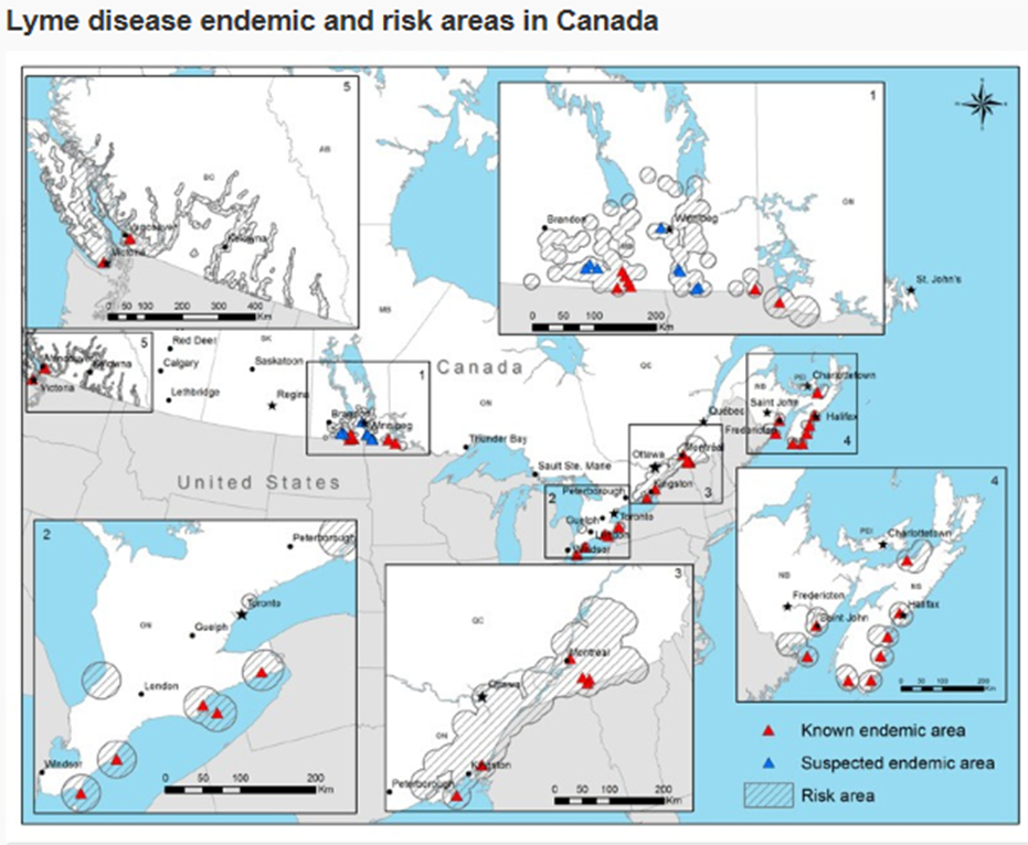 Prairie Pest Monitoring Network Blog: Weekly Update (May 25, 2017; Wk ...